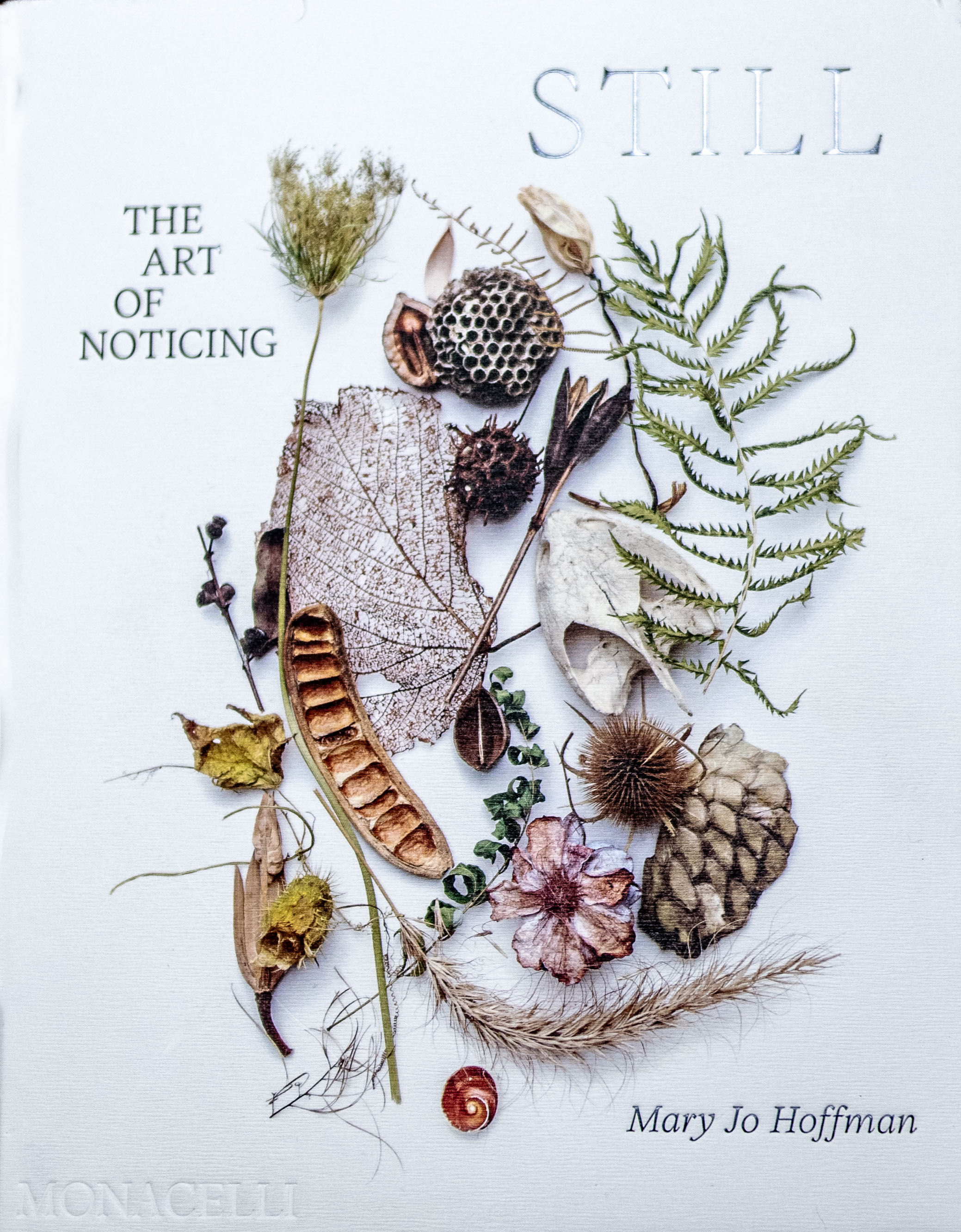 The Art of Noticing - Finding Focus